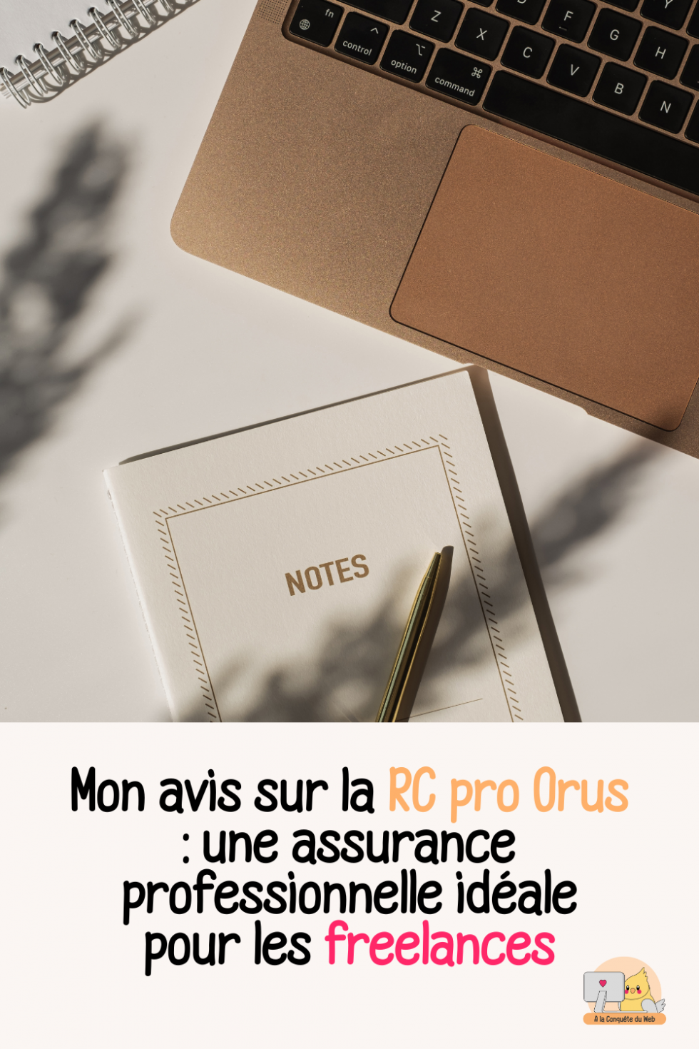 Avis sur la RC Pro Orus - À la Conquête du Wev